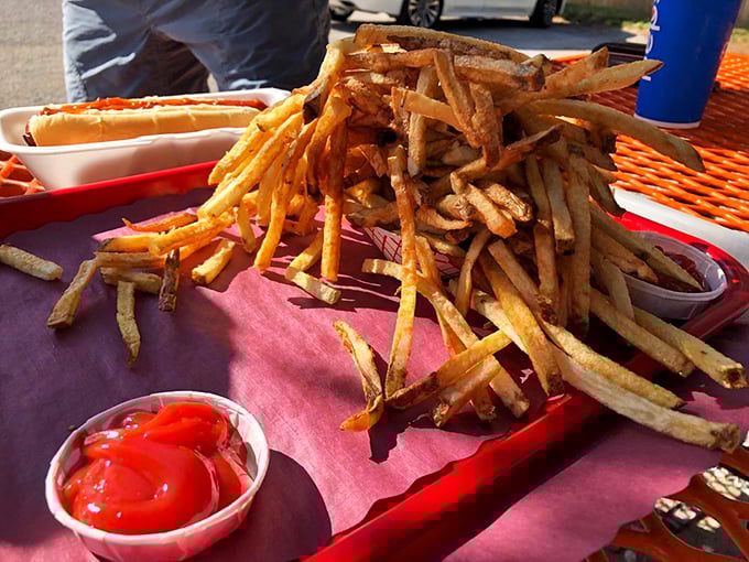These aren't just fries—they're golden happiness sticks, crispy on the outside, fluffy within, and worth every single calorie.