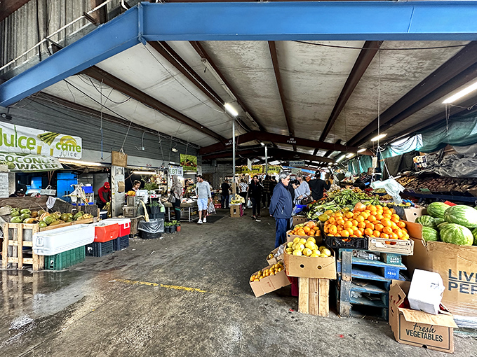 Fruit paradise under tin roofs—where watermelons the size of small planets orbit alongside tropical treasures waiting to be discovered.