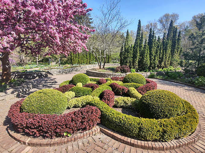 Precision meets whimsy in this formal garden. Those hedges didn't trim themselves into perfect curves—someone's living their topiary dreams here.