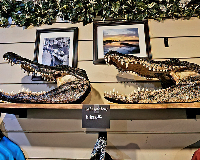 Toothy souvenirs that make your vacation photos seem tame by comparison. Nothing says "Florida memories" quite like preserved predator parts.