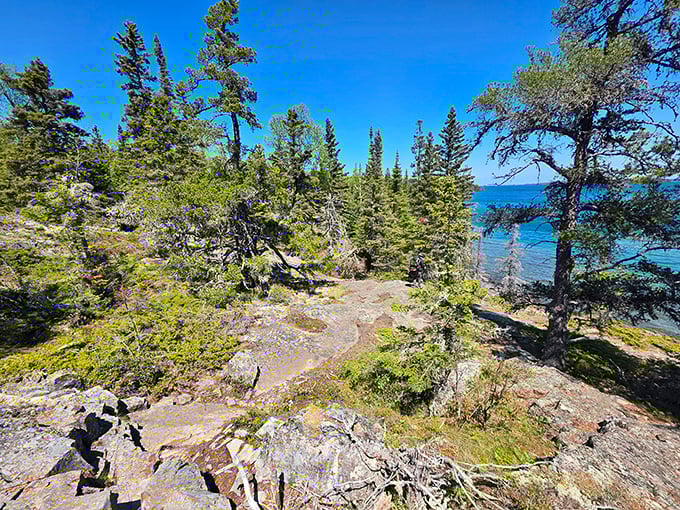 Nature's cathedral where sunlight filters through pine needles onto ancient rock. These trails have felt the footsteps of adventurers and moose hooves alike for centuries.
