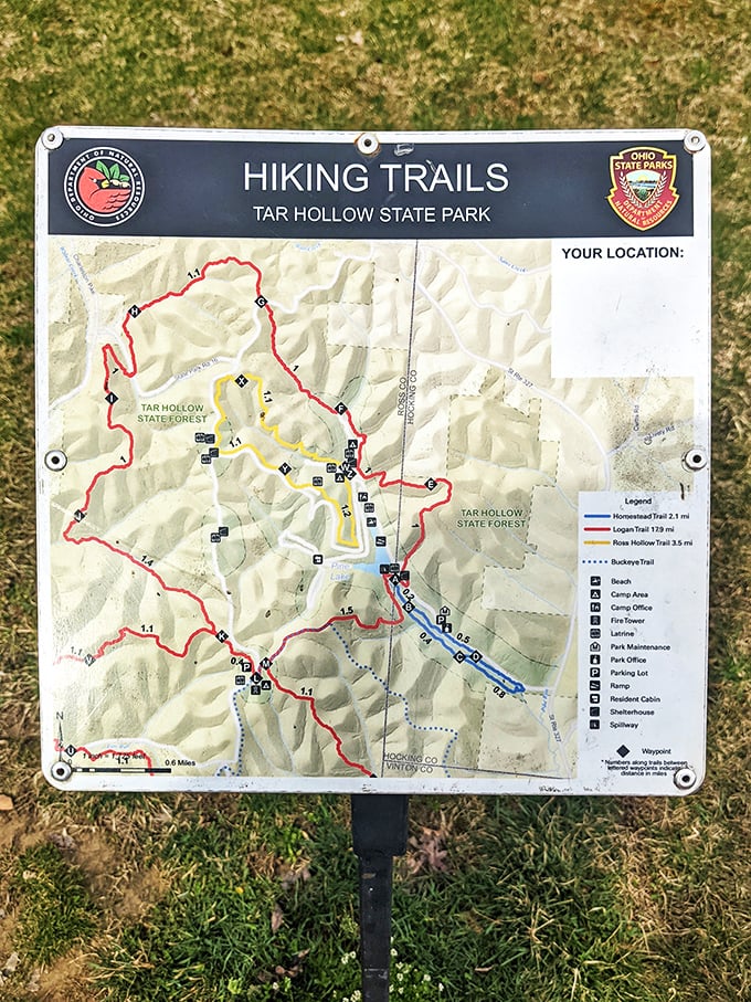 The treasure map to wilderness wonders! Tar Hollow's trail system unfolds before you, promising adventures in every direction.