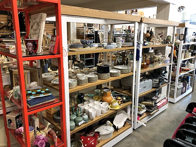 Shelf after shelf of kitchen possibilities—from forgotten wedding gifts to coveted cookware classics that someone mysteriously parted with.