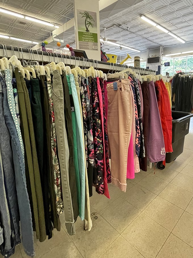 A rainbow of possibilities hangs in perfect formation—each pair of pants with its own history and a future just waiting for the right new owner.