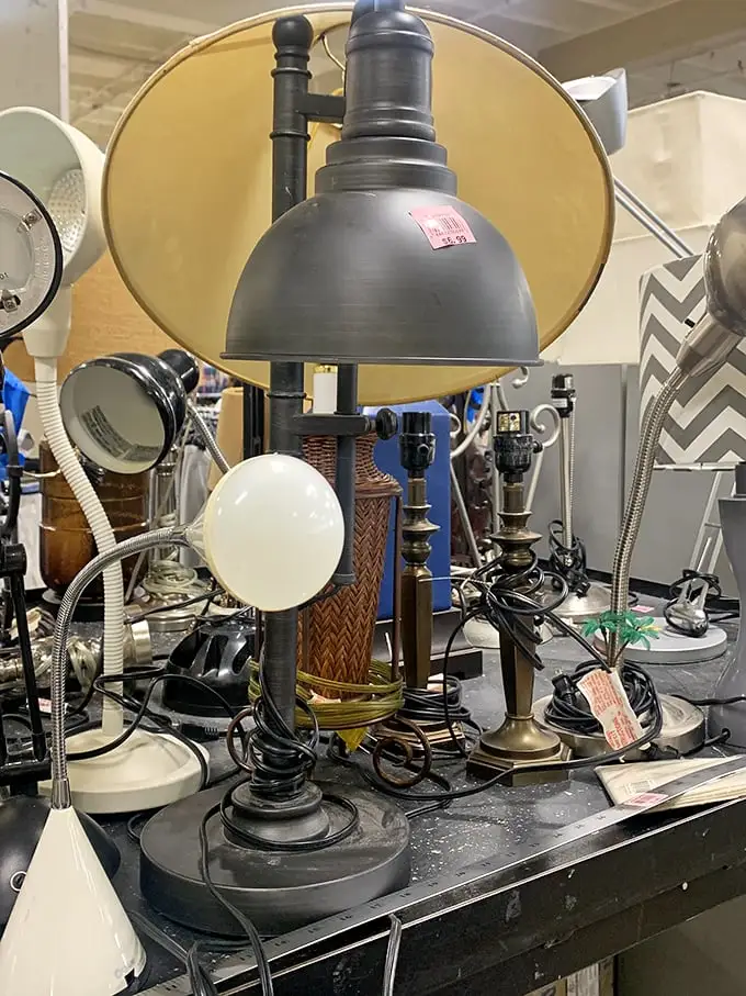 Lamp department looking like a casting call for "I Dream of Jeannie"—each one with its own personality and the potential to brighten your reading nook.