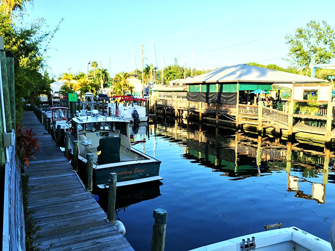 Fishing vessels line the weathered docks, their reflections dancing in still waters. These aren't pleasure boats—they're the workhorses that keep Cortez's seafood tradition alive.
