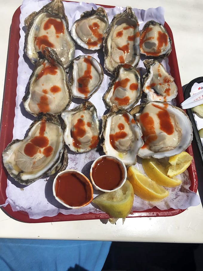 Fresh oysters on the half shell, glistening with possibility. A dozen little oceans, each one a perfect, briny shot of the sea.