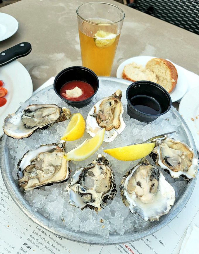 Oysters on ice—nature's perfect appetizer. Like kissing the ocean hello before diving into the main event of your meal.
