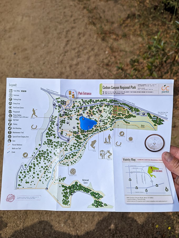 Navigation made simple. The park map reveals Carbon Canyon's hidden treasures, with the redwood grove tucked away like nature's secret speakeasy.