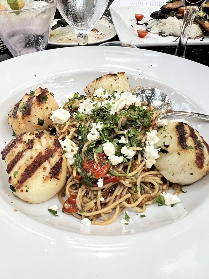 These scallops aren't just seared—they're transformed into ocean-fresh masterpieces. Perched atop pasta like culinary royalty surveying their delicious kingdom.