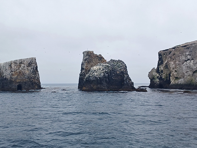 These dramatic rock formations have been sculpted by waves for millennia—Mother Nature's own abstract art installation.