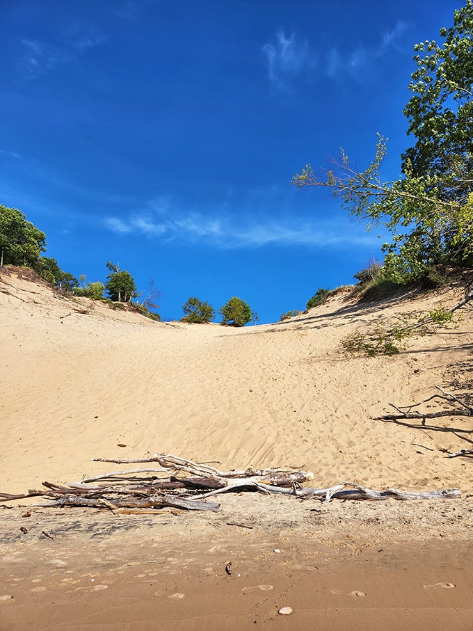 These dunes could easily stand in for a movie set of another planet—except the oxygen is free and the views are priceless.