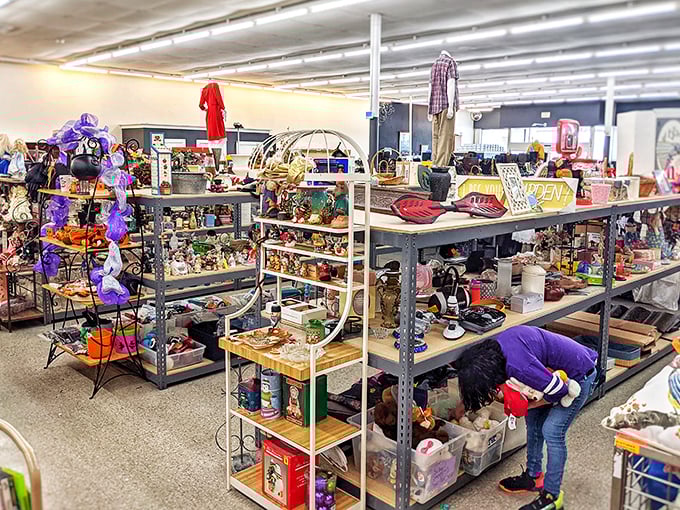 Organized chaos at its finest—where Halloween decorations might sit beside summer essentials, and both somehow make perfect sense together.