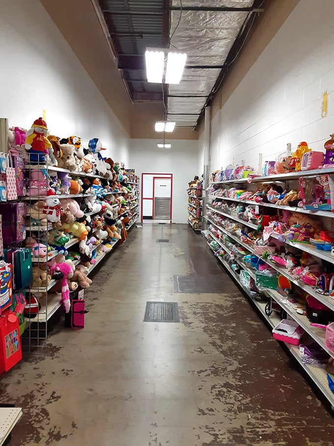 The stuffed animal aisle—where childhood companions patiently wait for their next adventure with new little friends.