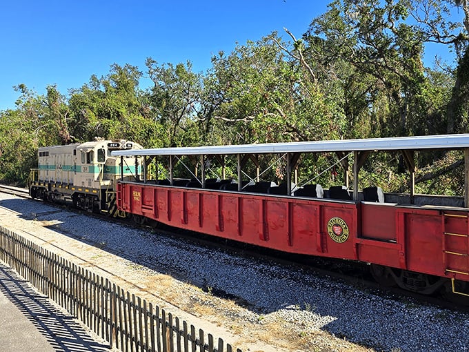 Sun-dappled tracks and an open-air car – the perfect recipe for feeling the Florida breeze while experiencing travel as it was meant to be.