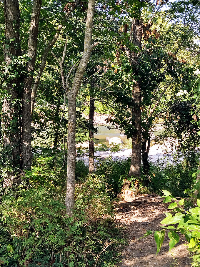 Nature frames its own masterpiece. This woodland path reveals glimpses of Grand Falls like a theater curtain slowly opening.