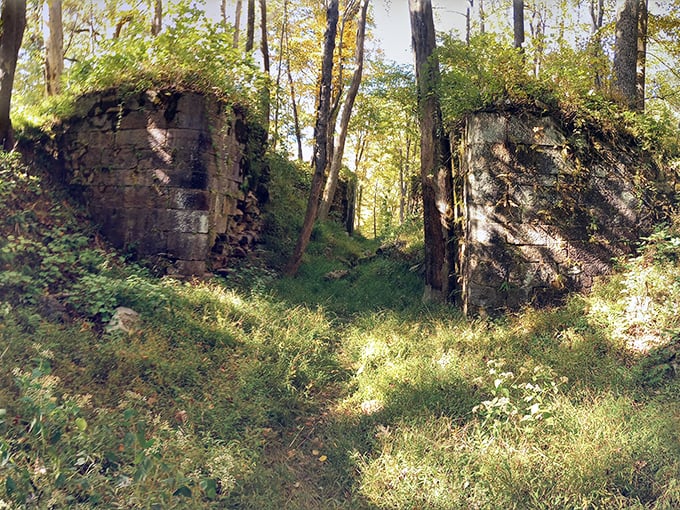 These moss-covered canal ruins whisper stories of Pennsylvania's industrial past—like finding history's signature hidden in plain sight among the forest's embrace.
