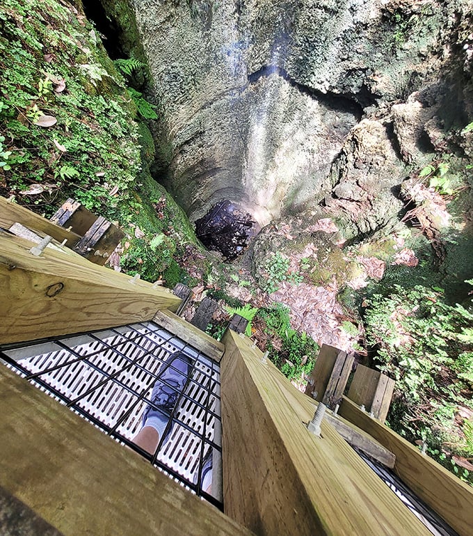 Looking down into the abyss where water disappears into limestone's embrace. It's like Mother Nature's magic trick—now you see it, now you don't!