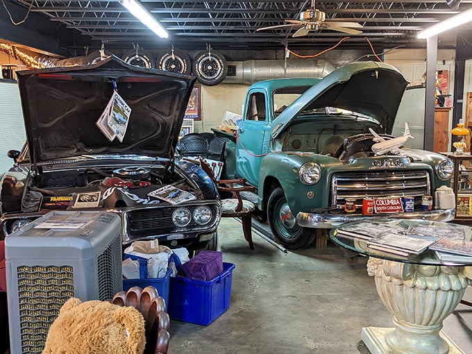 Classic cars with their hoods up—not broken down, just showing off decades of American engineering and design that still turns heads.