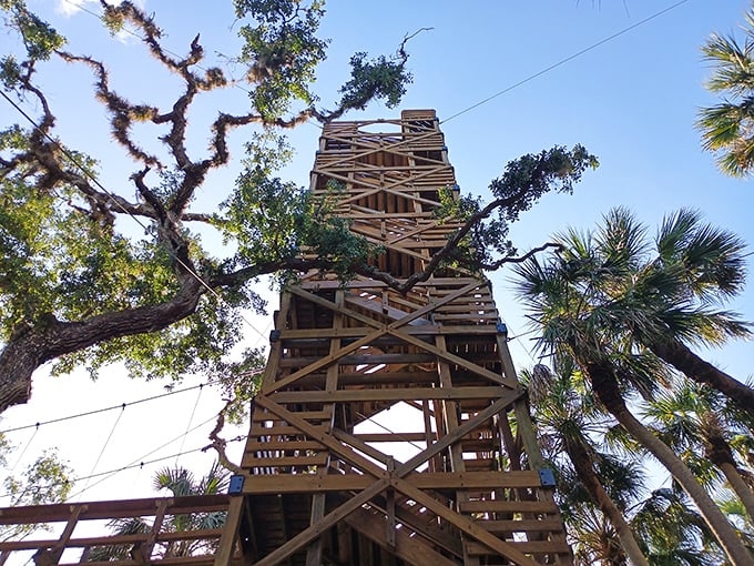 Stairway to heaven or Florida's ultimate lookout tower? Either way, the climb rewards you with views that no smartphone camera can truly capture.
