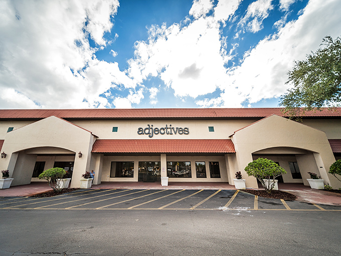 "Adjectives" – because sometimes you need more than nouns to describe these extraordinary vintage finds.