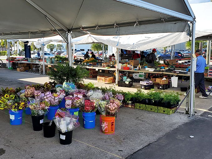 B&A's outdoor stalls are where treasure hunters and casual browsers alike find unexpected delights.
