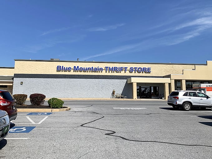Blue Mountain's interior showcases dishware displays that would make your grandmother swoon with vintage delight.