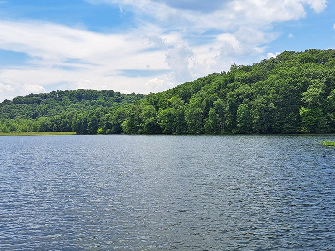 Nashville's cozy cabins nestled among trees offer that perfect blend of wilderness and comfort—like camping, but with actual plumbing and no bears stealing your cooler.