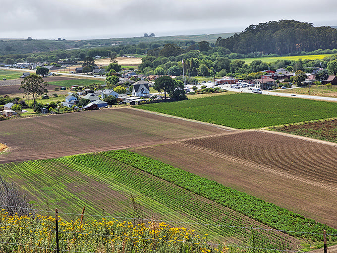 Pescadero's farmland stretches toward the horizon like a patchwork quilt made by Mother Nature herself. Farm-to-table isn't a trend here—it's life.