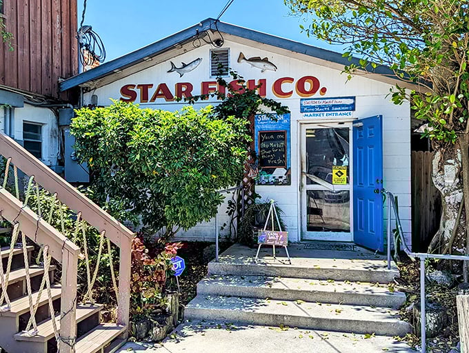 Star Fish Company's blue door and fish silhouettes offer a humble invitation to one of Florida's most authentic seafood experiences.