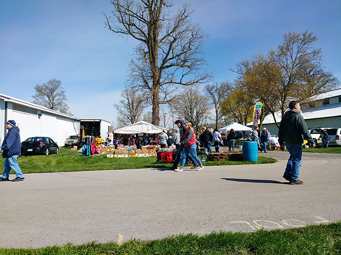 A sunny day at Tiffin’s Flea Market — where treasure hunters gather to browse unique finds, antiques, and hidden treasures.