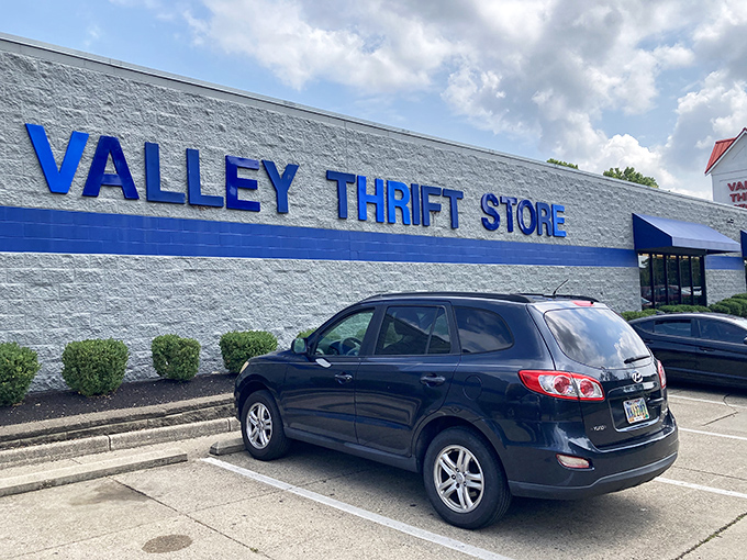 Valley Thrift's bold blue signage stands out like a sapphire in a sea of retail sameness. Bargain brilliance awaits inside!
