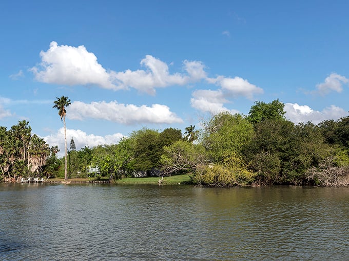 Brownsville's waterways offer tranquility that no spa package can match – nature's own stress-relief program.