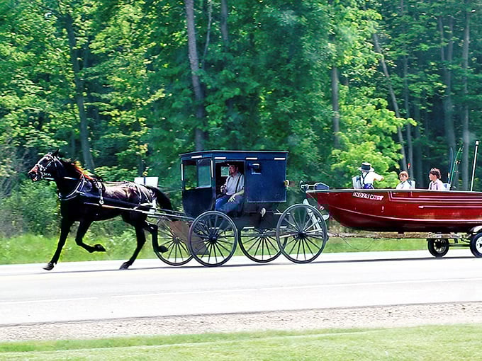 Only in Amish country will you see a horse pulling a boat—proof that innovation doesn't always need electricity!