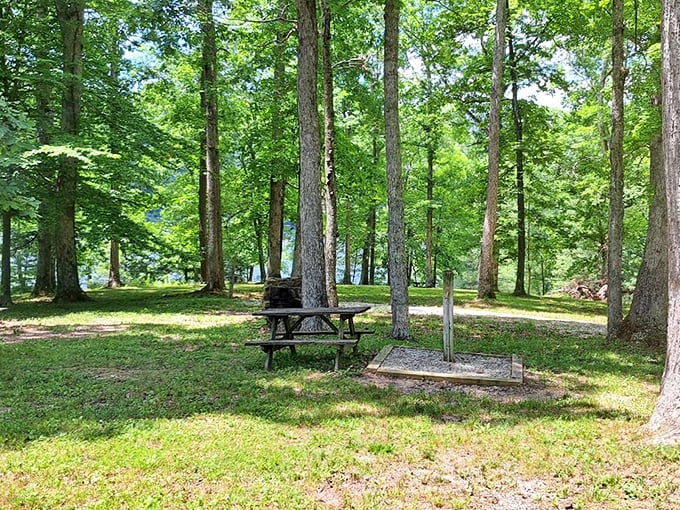 This wooden deck overlooking Nashville's rolling hills provides the kind of view that makes you want to cancel your afternoon plans and just... stay.