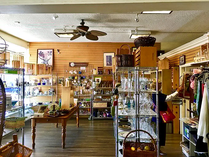Cozy displays showcase donated gems - where every purchase writes a happy ending for homeless pets. 