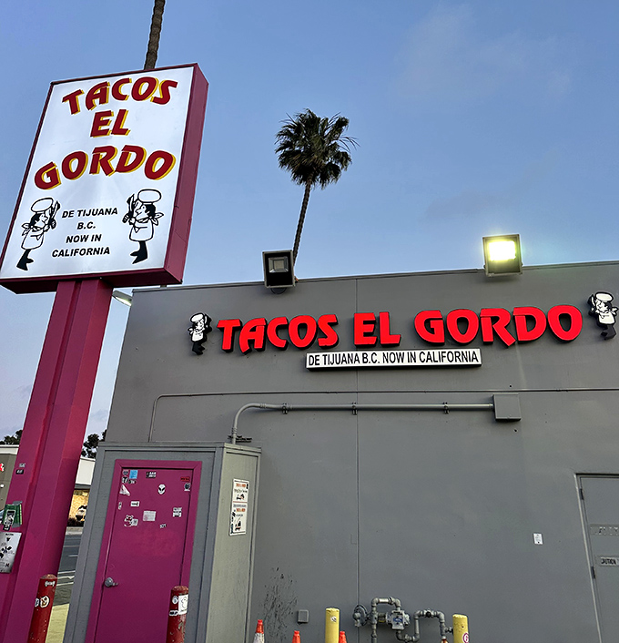 That bold pink and white exterior isn't just for show—it's a warning sign that your taste buds are about to experience something extraordinary.