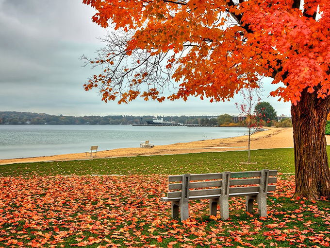 Fall's fiery maple leaves frame Traverse City's downtown streets, where boutique shops and local eateries await your discovery.