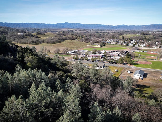 Bird's eye bliss over Kelseyville, where neighborhoods nestle between forest and field. From up here, everyday worries seem properly miniaturized.