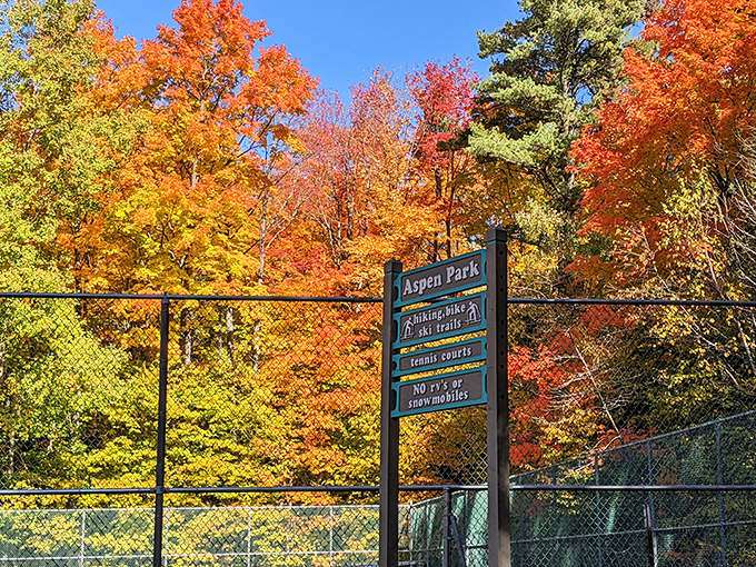 Aspen Park explodes with fall colors that would make Vermont jealous – nature's own fireworks display framing recreational trails for all seasons.