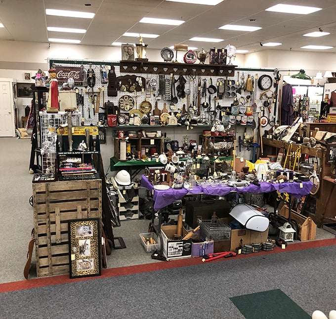 A collector's fever dream where vintage clocks mark different eras instead of hours, and every sign points to nostalgia boulevard.