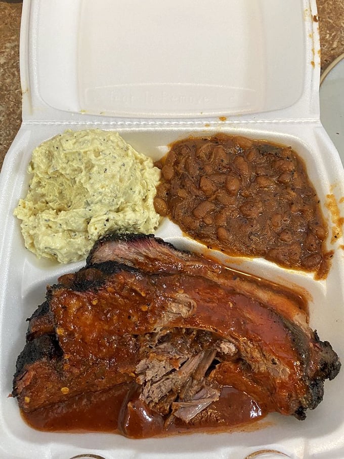 The BBQ holy trinity—tender meat, creamy potato salad, and those baked beans that have clearly been hanging out with the brisket all day.