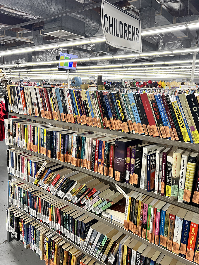 Bookworms rejoice! Literary treasures stacked with military precision—from forgotten bestsellers to quirky cookbooks with handwritten margin notes from strangers.