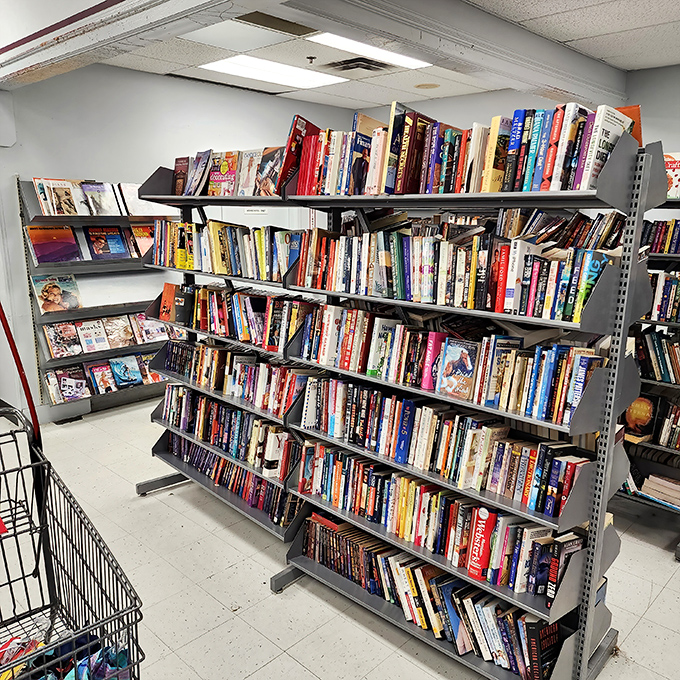 Each shelf tells a thousand stories—literally. Yesterday's bestsellers waiting for their next chapter with you.