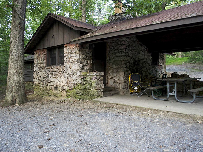 Stone and timber cabins that whisper tales of simpler times. No Wi-Fi password needed—the forest provides all the connection you need.