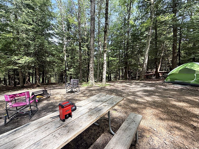Camping simplicity at its finest—where picnic tables become dining rooms, camp chairs become living rooms, and stars become the best ceiling you've ever slept under.