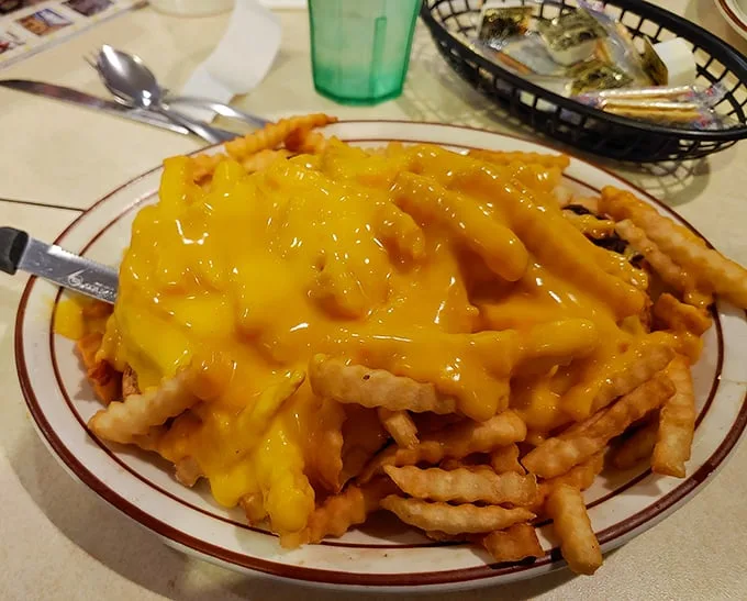 Cheese fries that answer the eternal question: "Can happiness be served on a plate?" The answer is a resounding, gooey "yes."