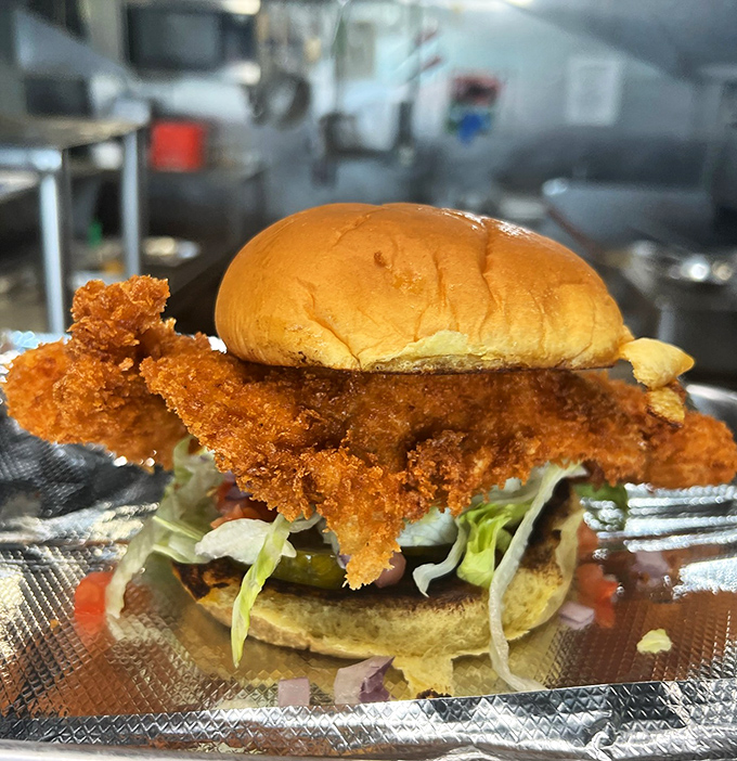 This chicken sandwich isn't messing around. Crispy coating extending well beyond its bun borders—it's the Florida equivalent of a winter coat in July.