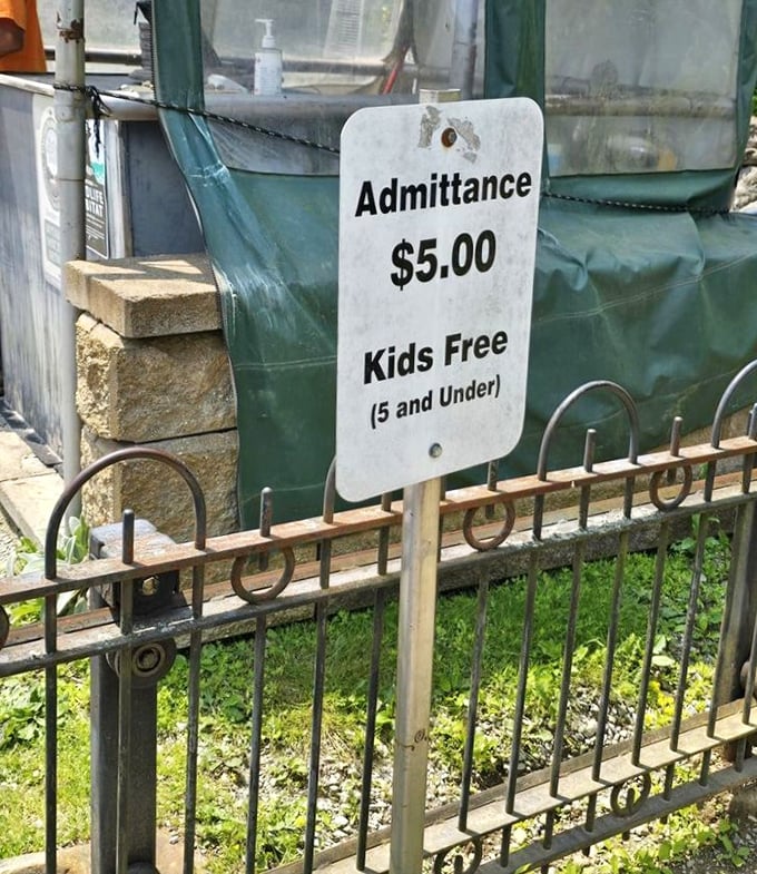 Five dollars buys entry to a medieval dream, while kids under five get free passage—the most affordable time travel you'll find in Ohio.