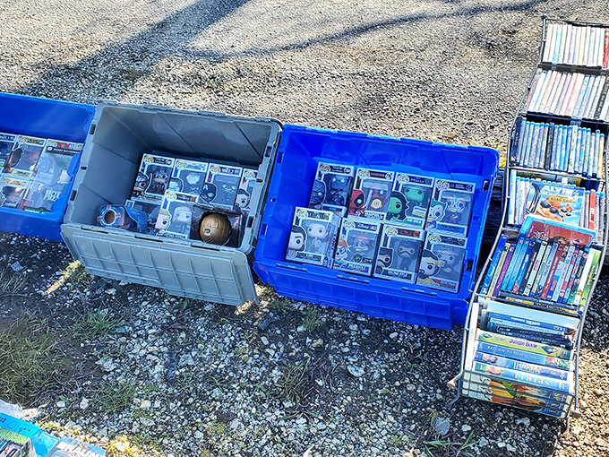 Yesterday's entertainment packaged for tomorrow's enjoyment—these DVDs and collectibles are time machines disguised as plastic cases.